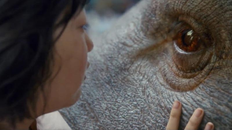 Okja - Film (2017) - Cinefilos.it