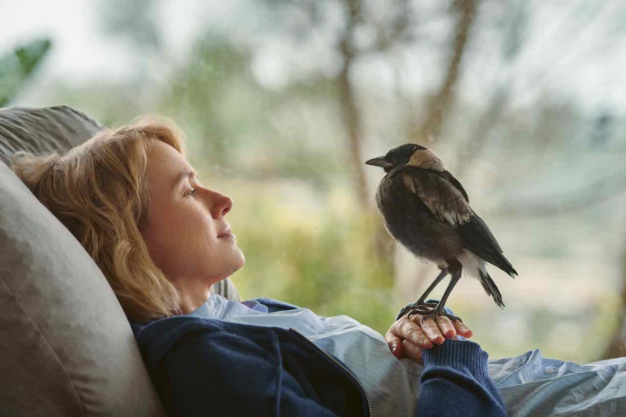 Penguin Bloom - Film (2021) - Cinefilos.it