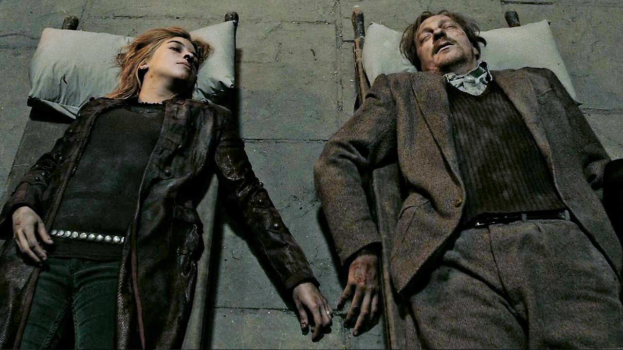 Harry Potter: 9 personaggi esclusi dai film che potremmo vedere nella ...