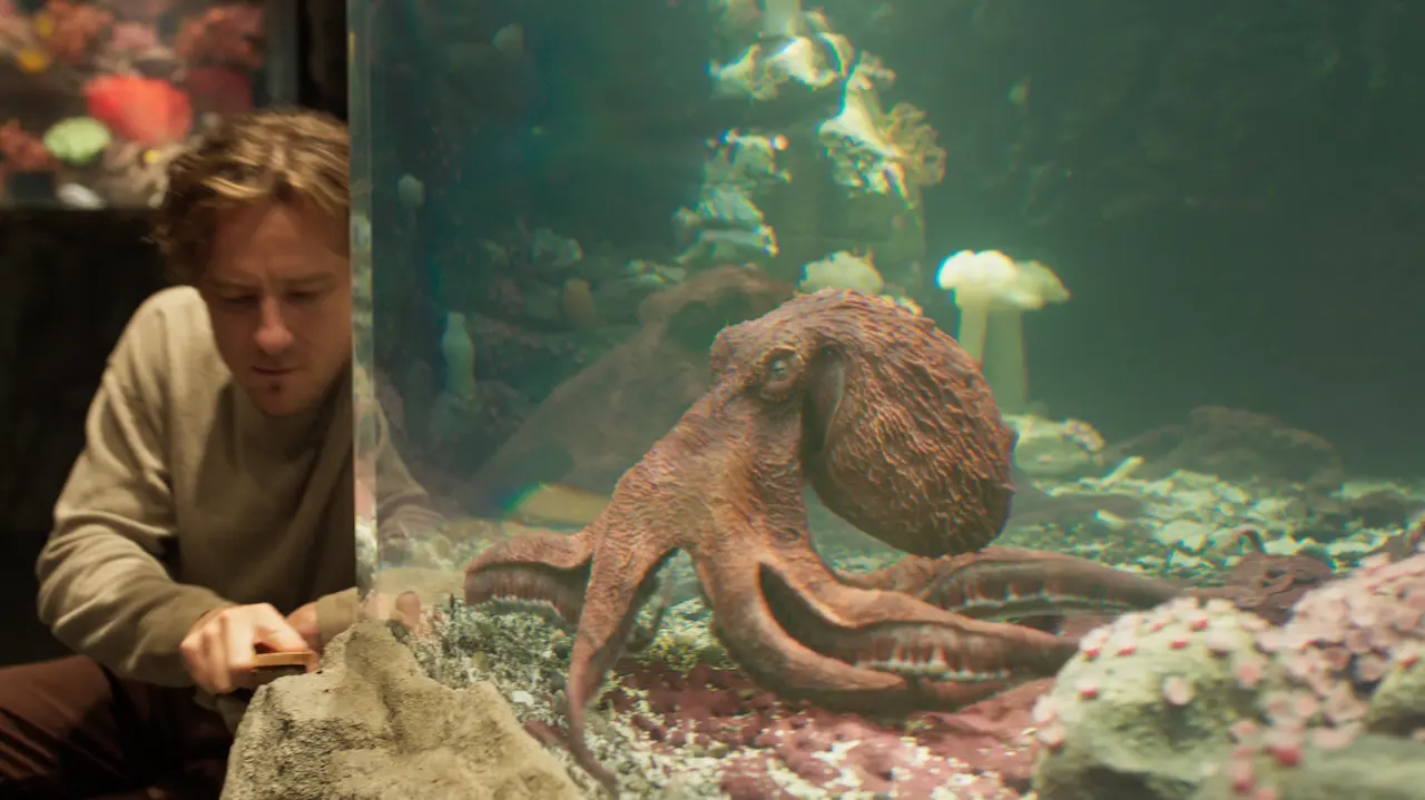 Creature luminose: le 7 differenze più significative tra il film e il ...